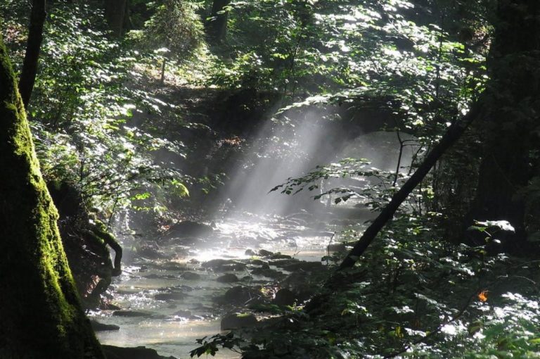 Pwyll Prince of Dyfed – Celtic Archetypes in the Mabinogi