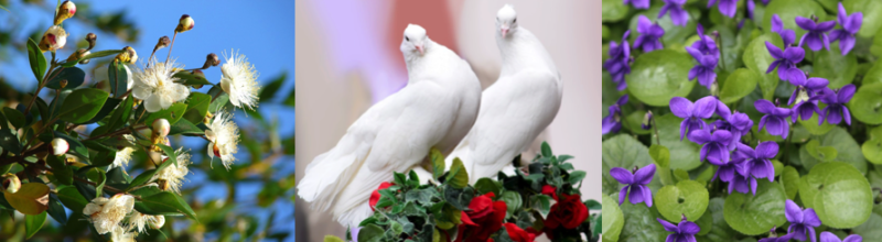 Honouring Love: Festivals of the Goddess in Ancient Greece and Rome